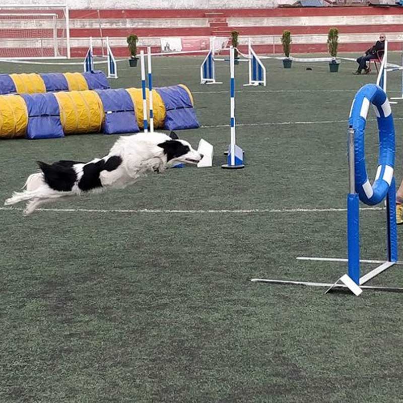 IMCA&PAWC 2024 – Galican